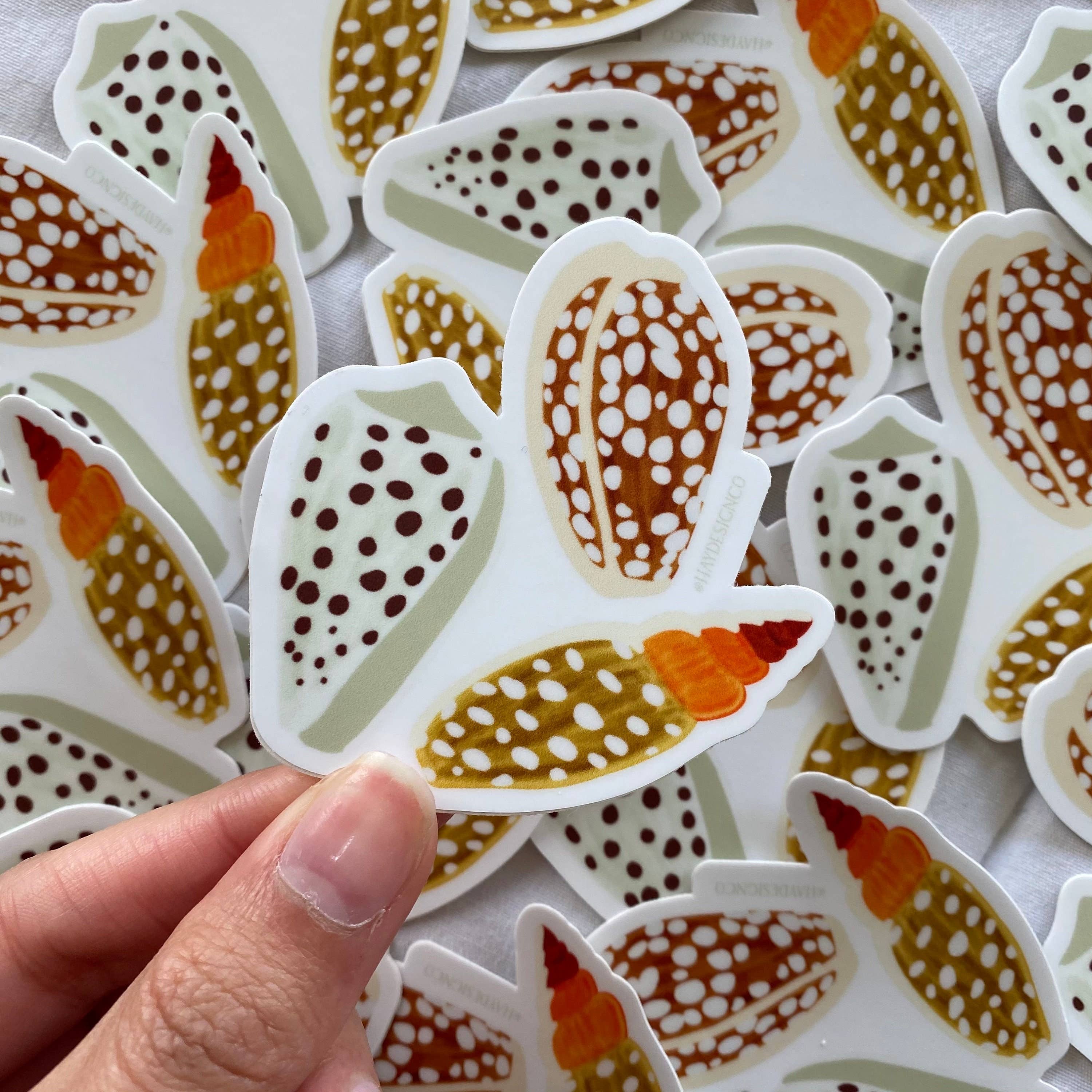 Cowrie Shell Sticker – The Foam Co.